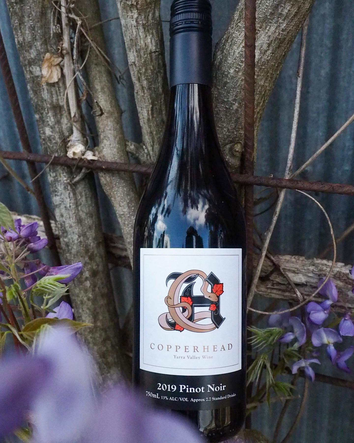 Experiences – Notes Wine